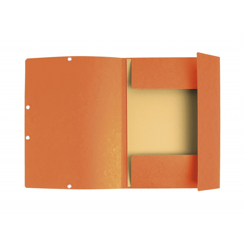 Farde à rabats et élastiques Exacompta en carton - A4